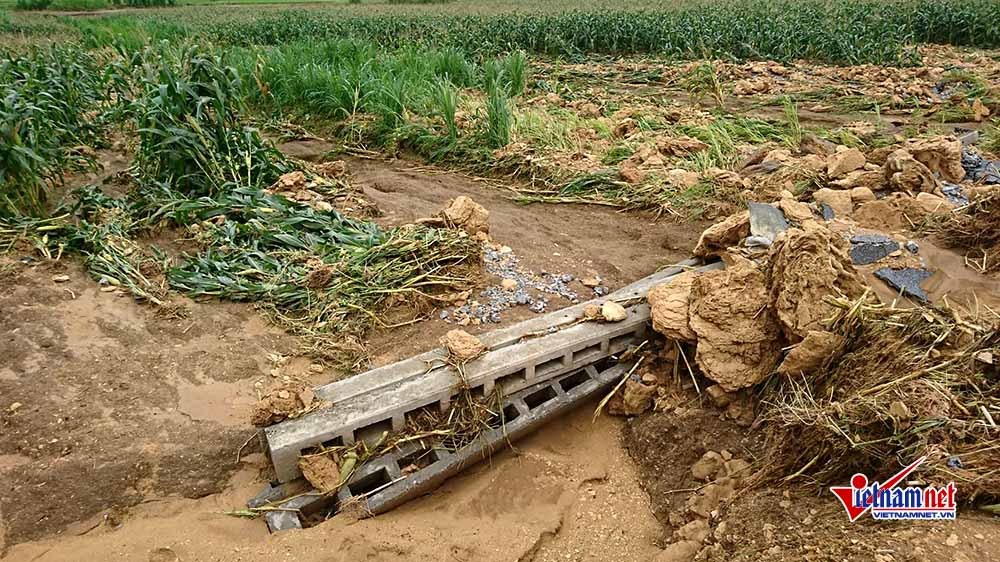 Nghìn m3 đá vùi lấp đường, trườn qua vách đá về nhà