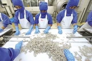 EPE model held up by uncertainties